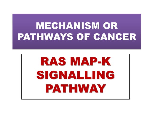 Cancer , Types of Cancer , Mechanism , RAP MapK Pathway , Treatment | PPT