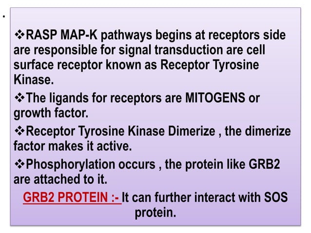 Cancer , Types of Cancer , Mechanism , RAP MapK Pathway , Treatment | PPT