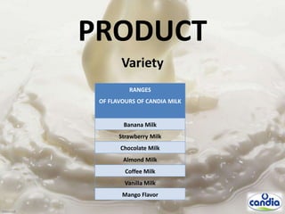 Candia Milk Re-Launching | PPTX
