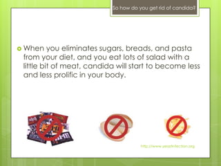 Truth About Candida | PPTX | Nutrition | Healthy Living
