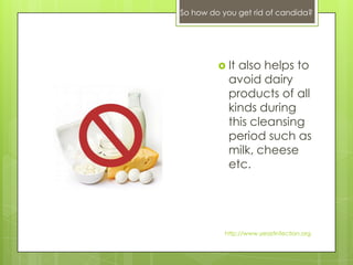 Truth About Candida | PPTX | Nutrition | Healthy Living