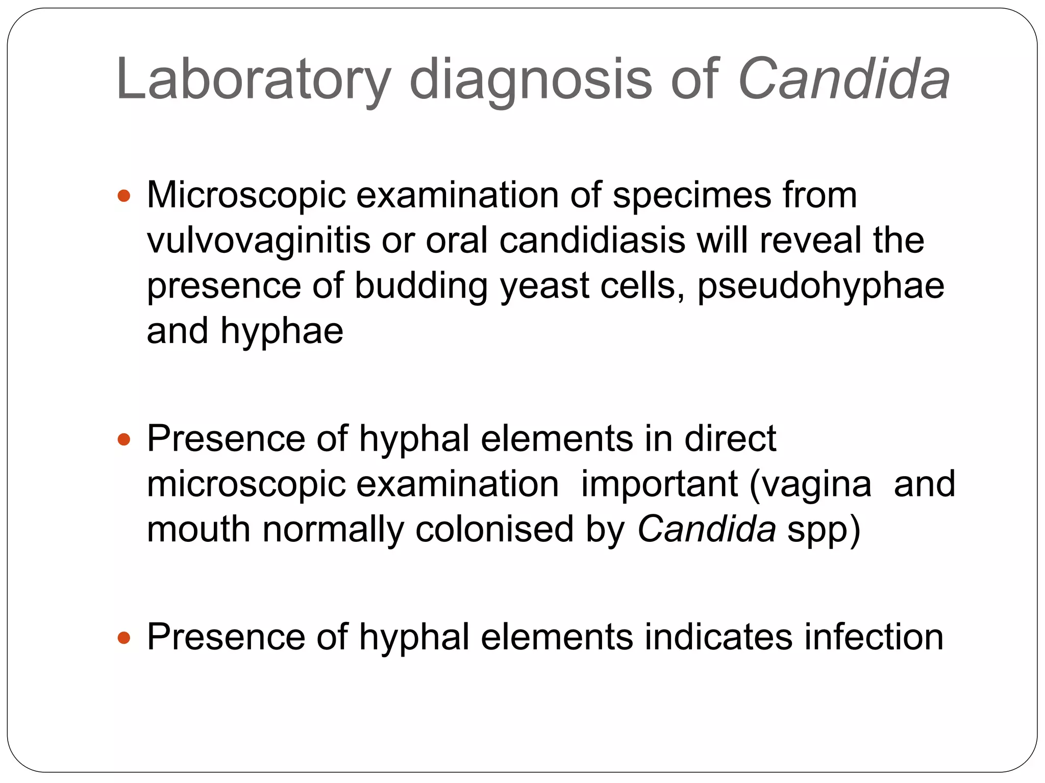 Candida | PPTX