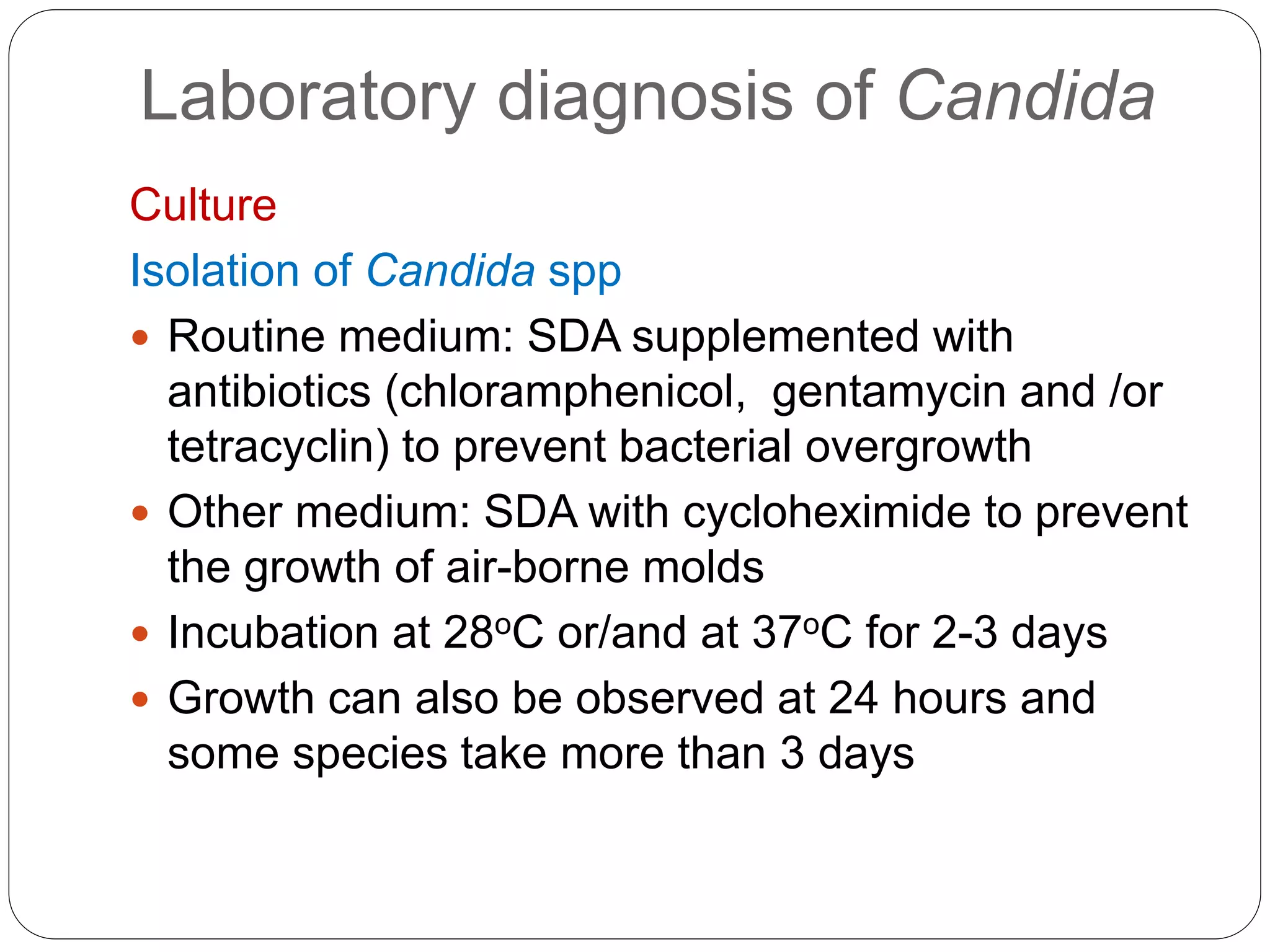 Candida | PPTX
