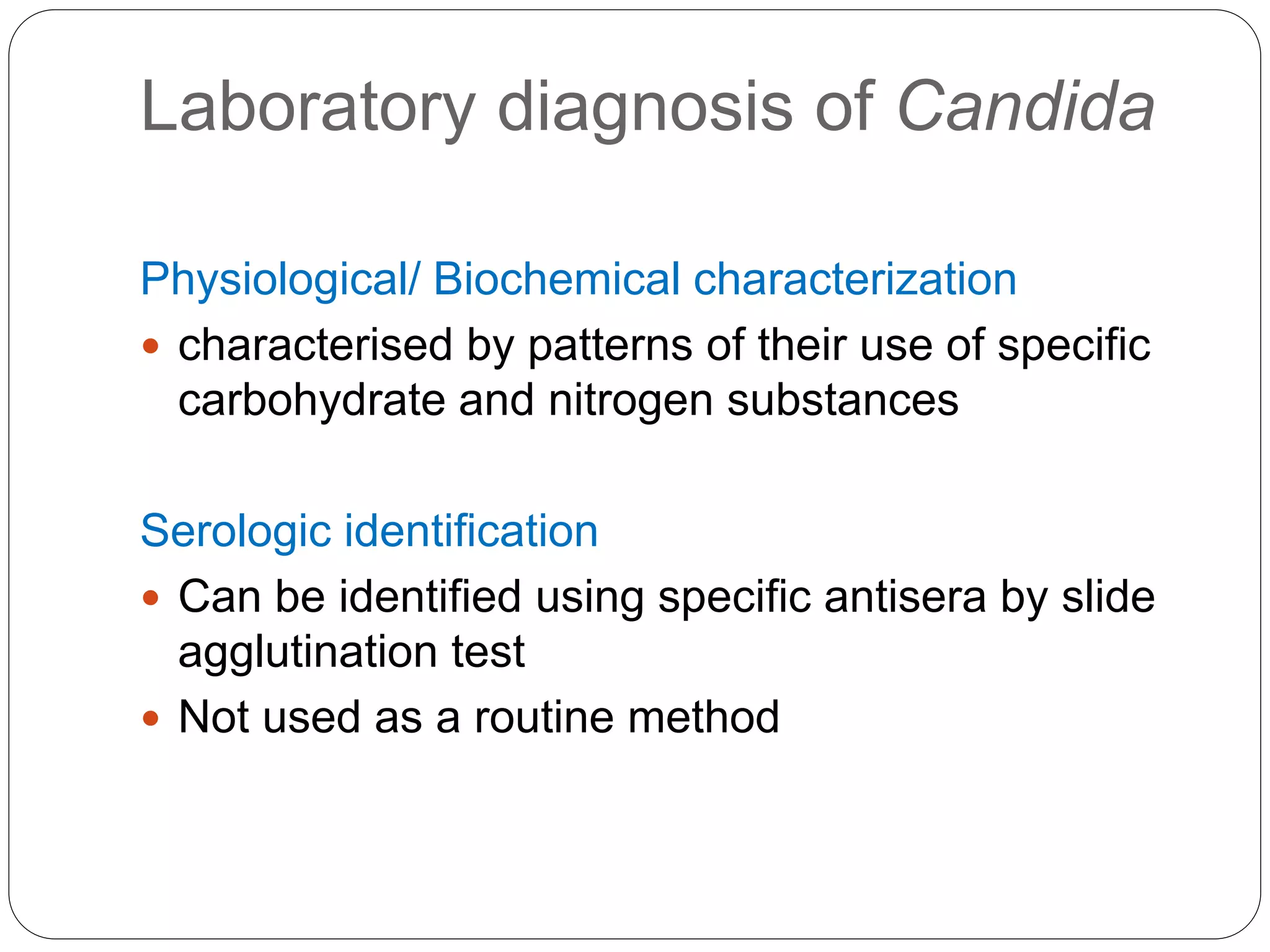 Candida | PPTX