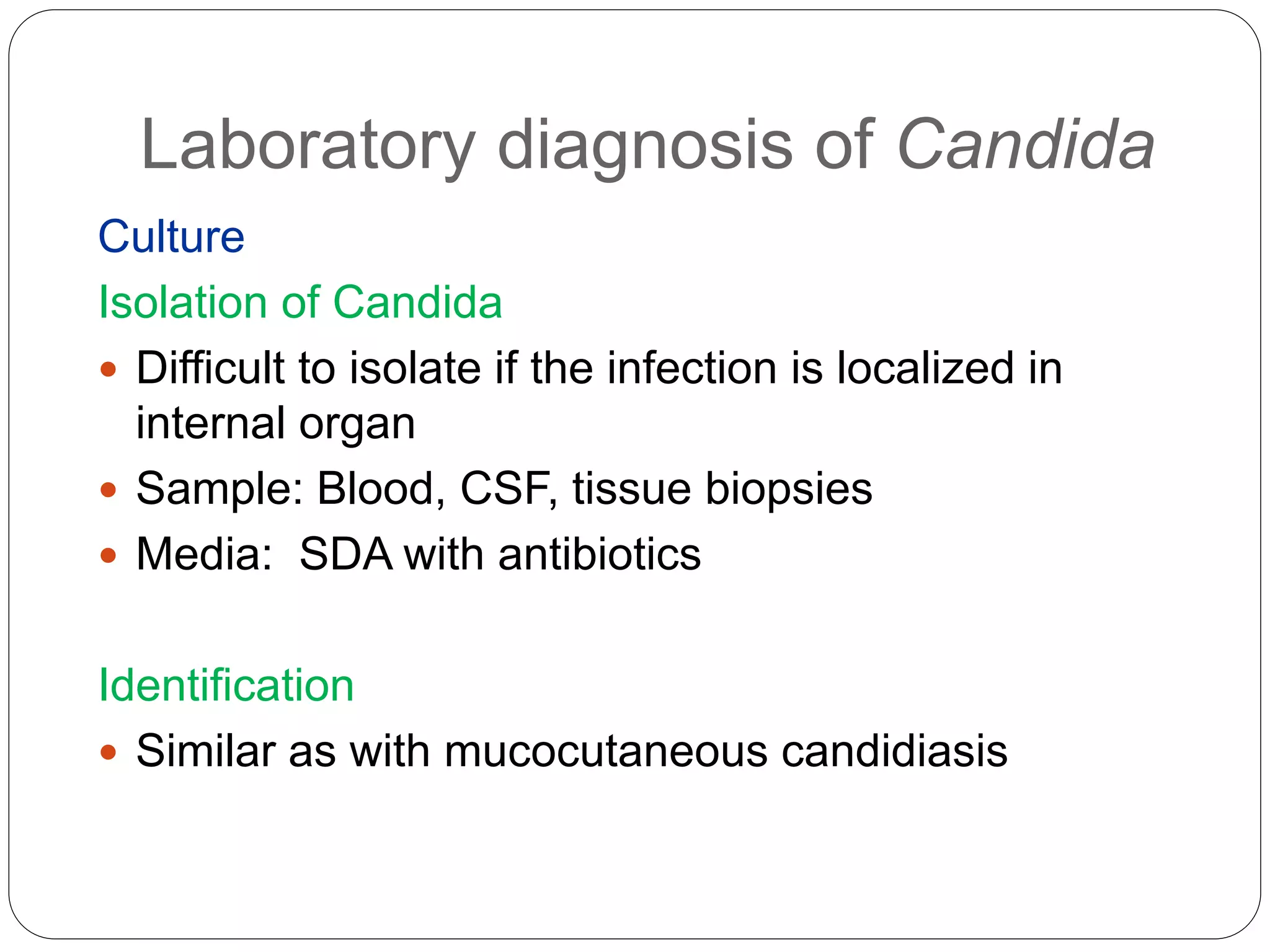 Candida | PPTX