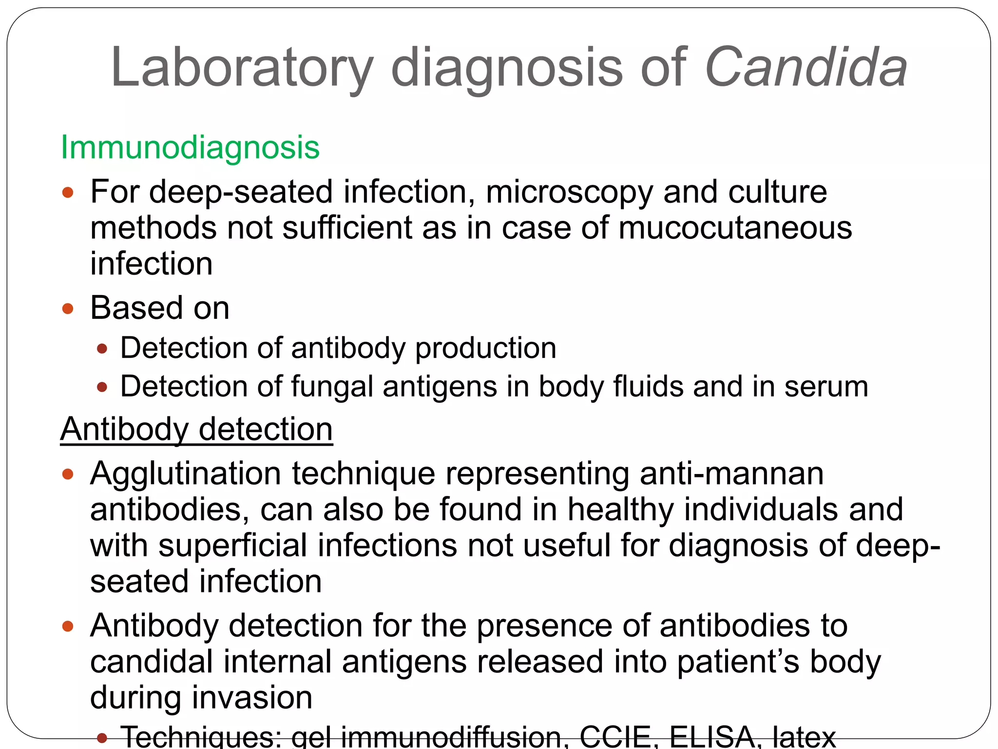 Candida | PPTX