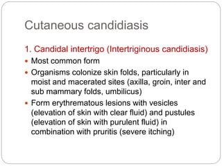 Candida | PPTX
