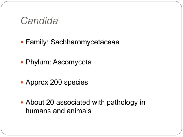 Candida | PPTX | Skin and Dermatology | Diseases and Conditions
