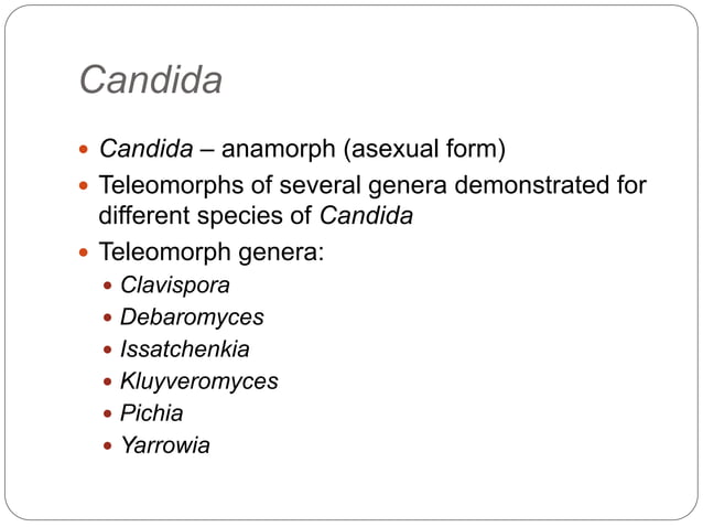 Candida | PPTX | Skin and Dermatology | Diseases and Conditions