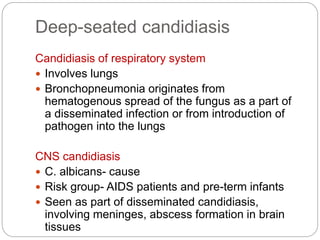 Candida | PPTX