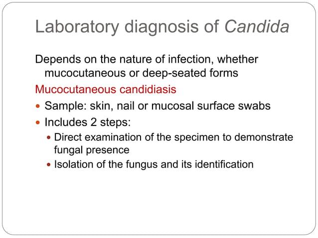 Candida | PPTX | Skin and Dermatology | Diseases and Conditions