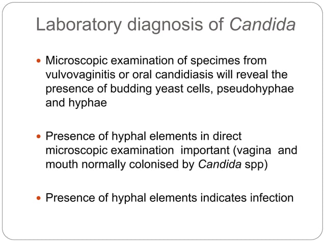 Candida | PPTX | Skin and Dermatology | Diseases and Conditions