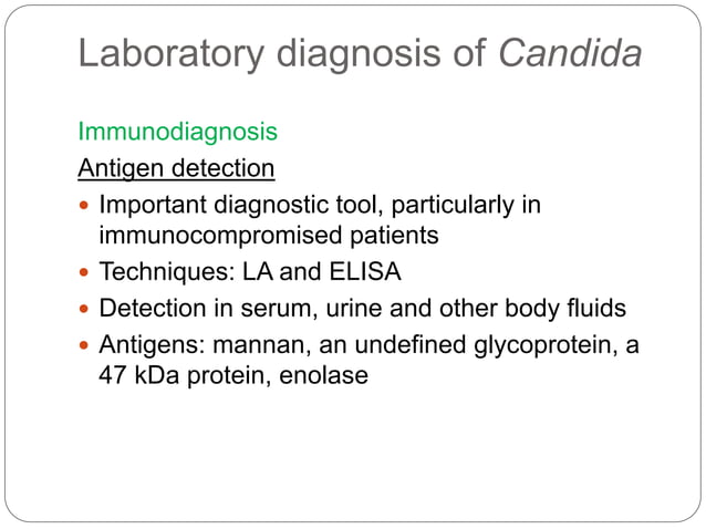Candida | PPTX | Skin and Dermatology | Diseases and Conditions