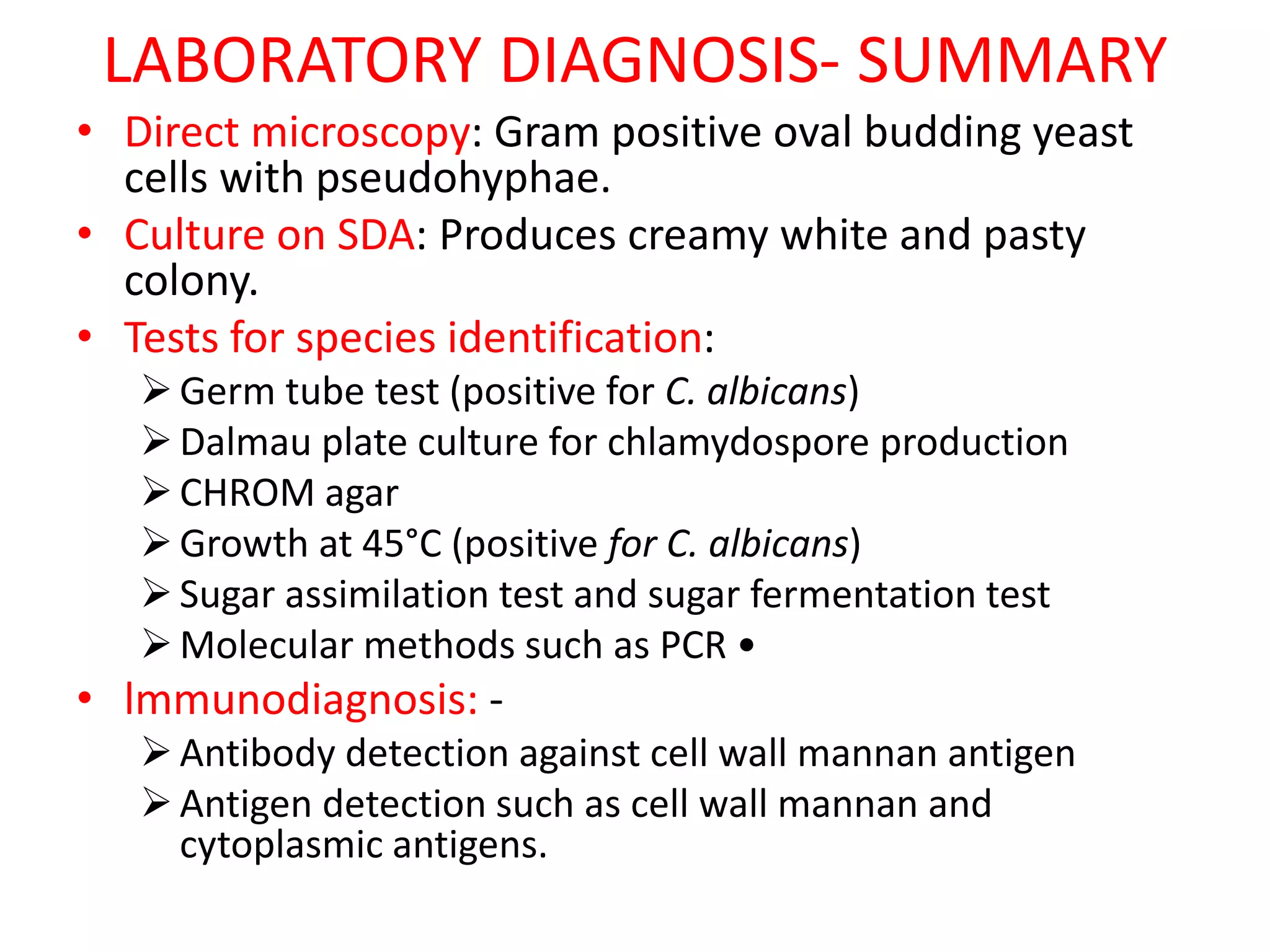 Candida | PPTX | Skin and Dermatology | Diseases and Conditions