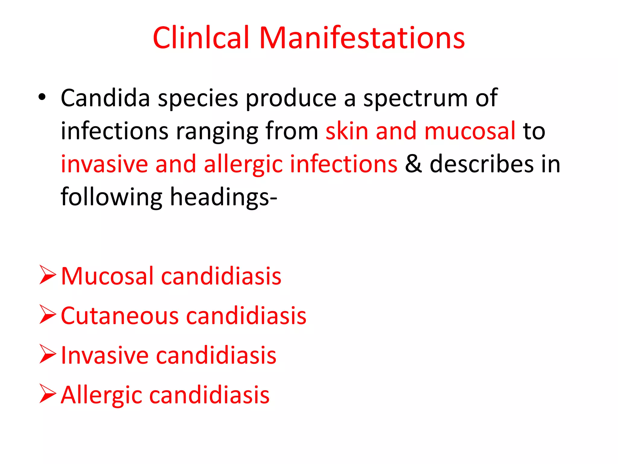Candida | PPTX
