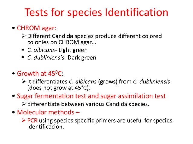Candida | PPTX | Skin and Dermatology | Diseases and Conditions