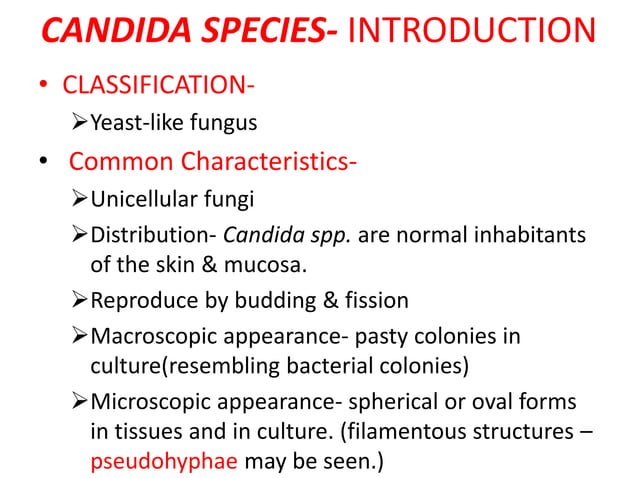 Candida | PPTX | Skin and Dermatology | Diseases and Conditions