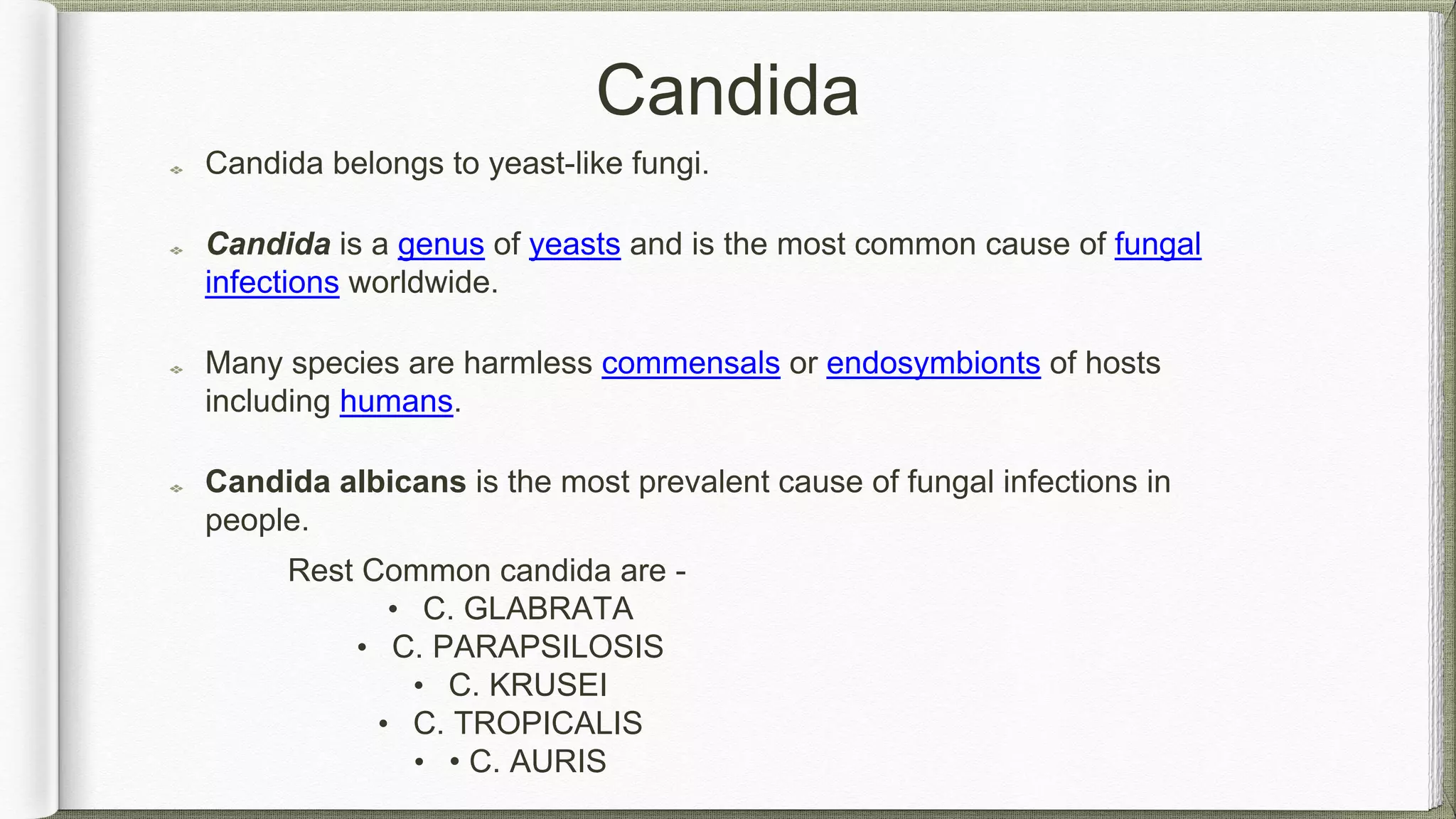 Candida.pptx