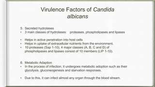 Candida.pptx