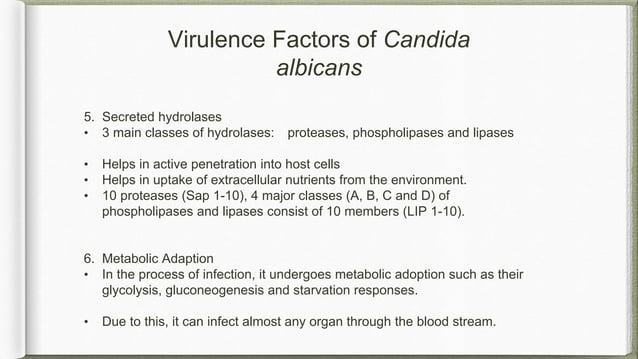 Candida.pptx