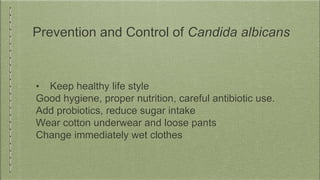 Candida.pptx