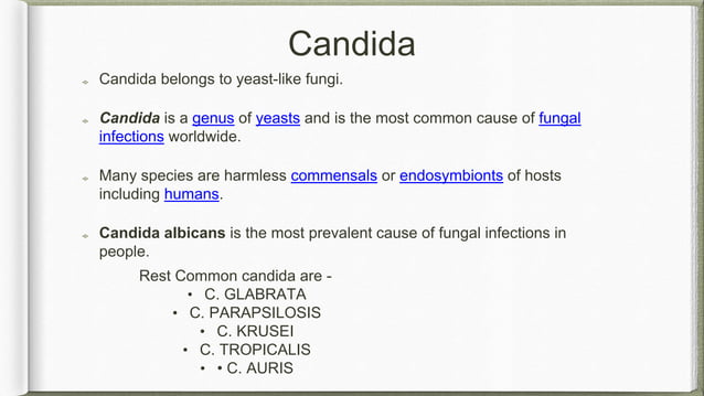 Candida.pptx