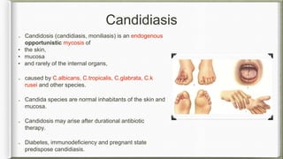 Candida.pptx