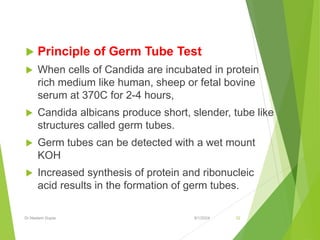 YEAST-CANDIDIASIS WITH LABORATORY DIAGNOSIS .pptx