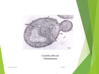YEAST-CANDIDIASIS WITH LABORATORY DIAGNOSIS .pptx