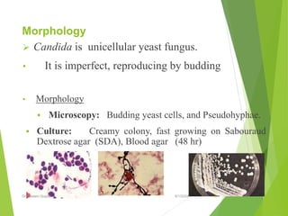 YEAST-CANDIDIASIS WITH LABORATORY DIAGNOSIS .pptx