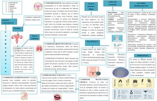 CANDIDA PULMONAR, ORAL, VAGINAL, GASTROENTERITIS | PDF