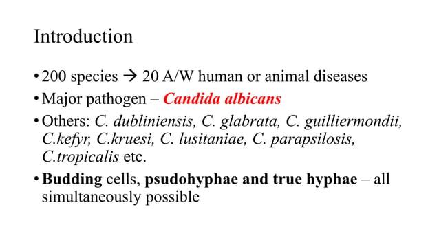 Candida oral pathology. .pptx