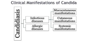 Candida oral pathology. .pptx
