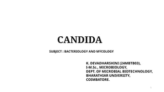 Candida albicans - opportunistic mycoses.pptx