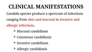 Candida albicans - opportunistic mycoses.pptx