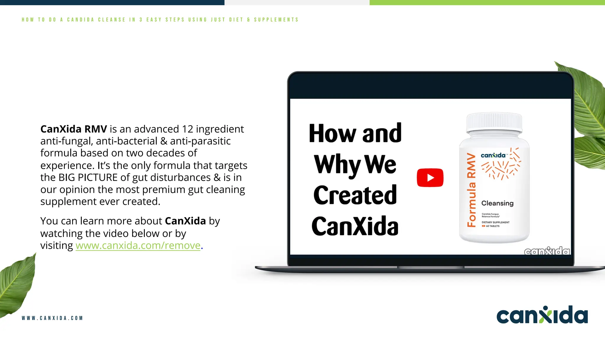 The Candida Myth Buster: Real Foods for Effective Cleansing | PPT