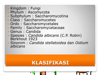 CANDIDA ALBIANS.pptx