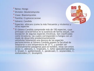 Candida albicans | PPTX