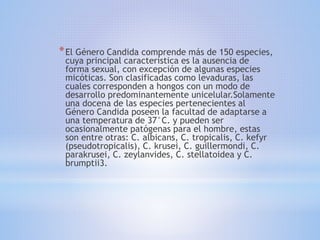 Candida albicans | PPTX