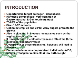Candida albicans | PPTX