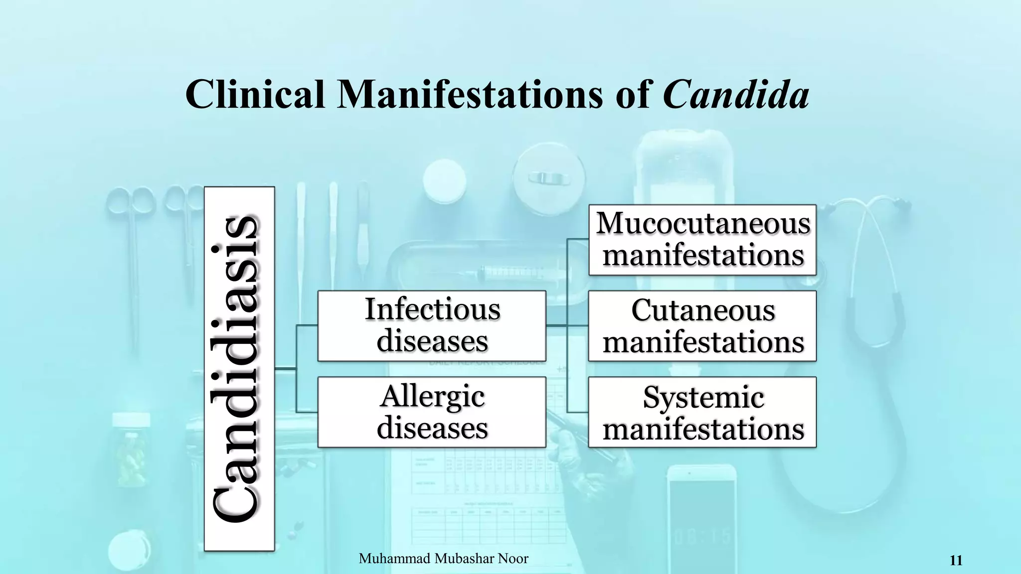 Candida albicans | PPTX