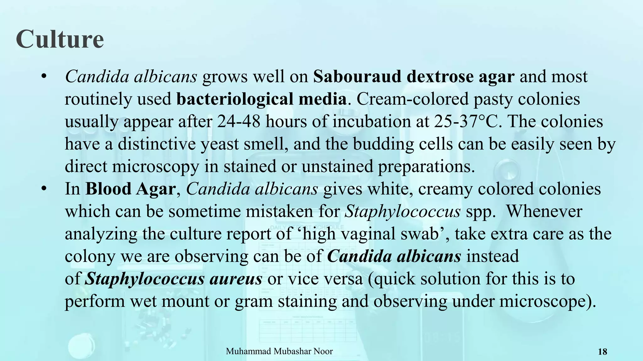 Candida albicans | PPTX