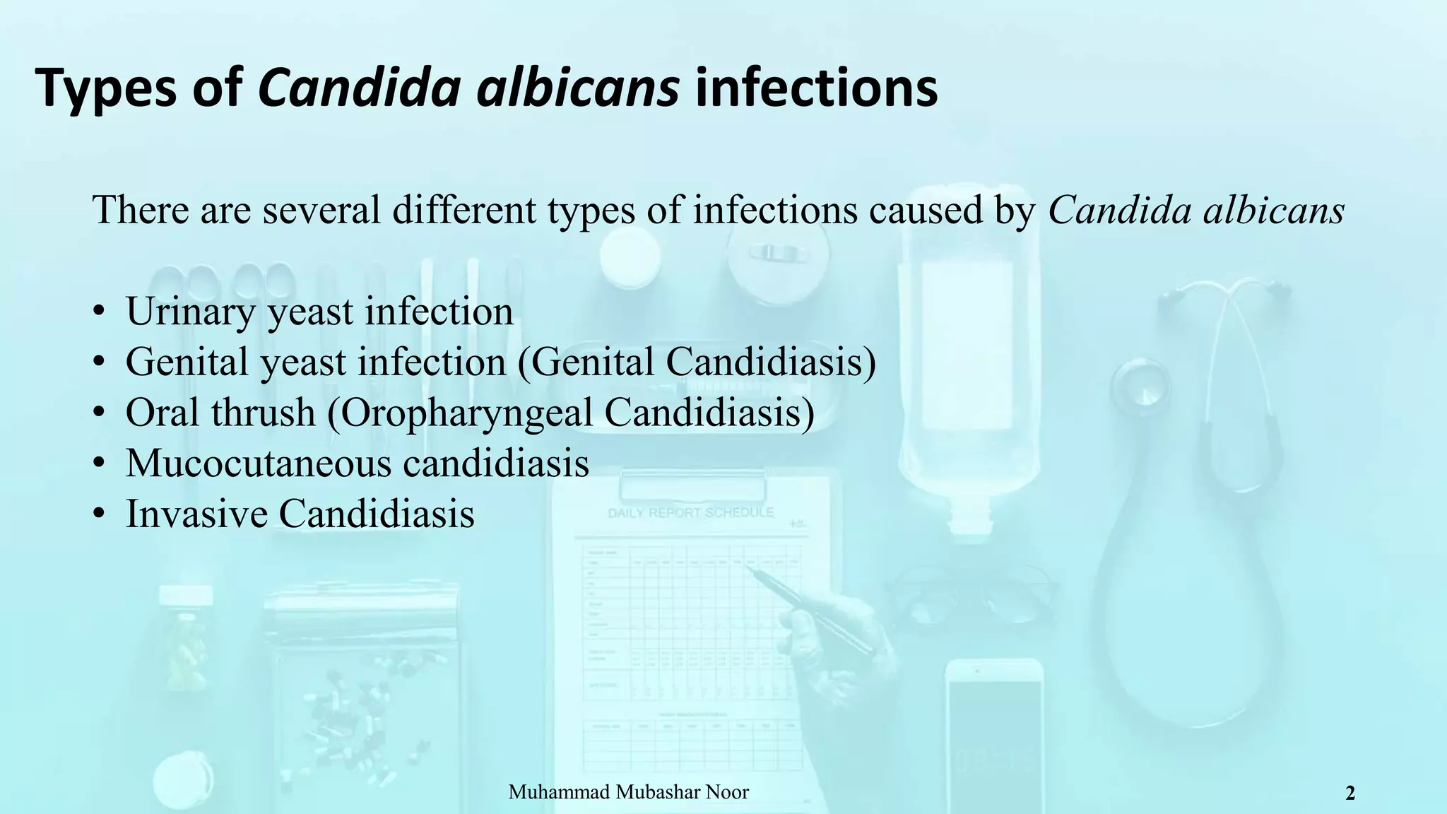 Candida albicans | PPTX