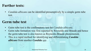 Candida albicans | PPTX