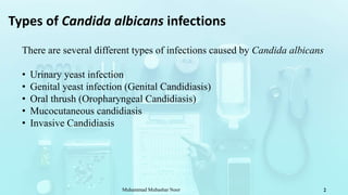 Candida albicans | PPTX