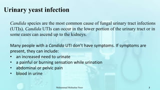 Candida albicans | PPTX
