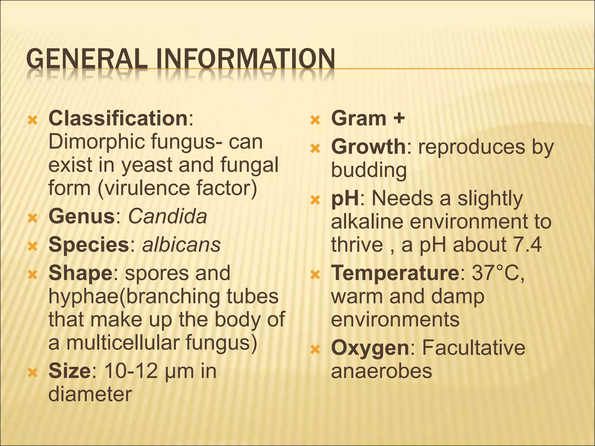 Candida Albicans.ppt