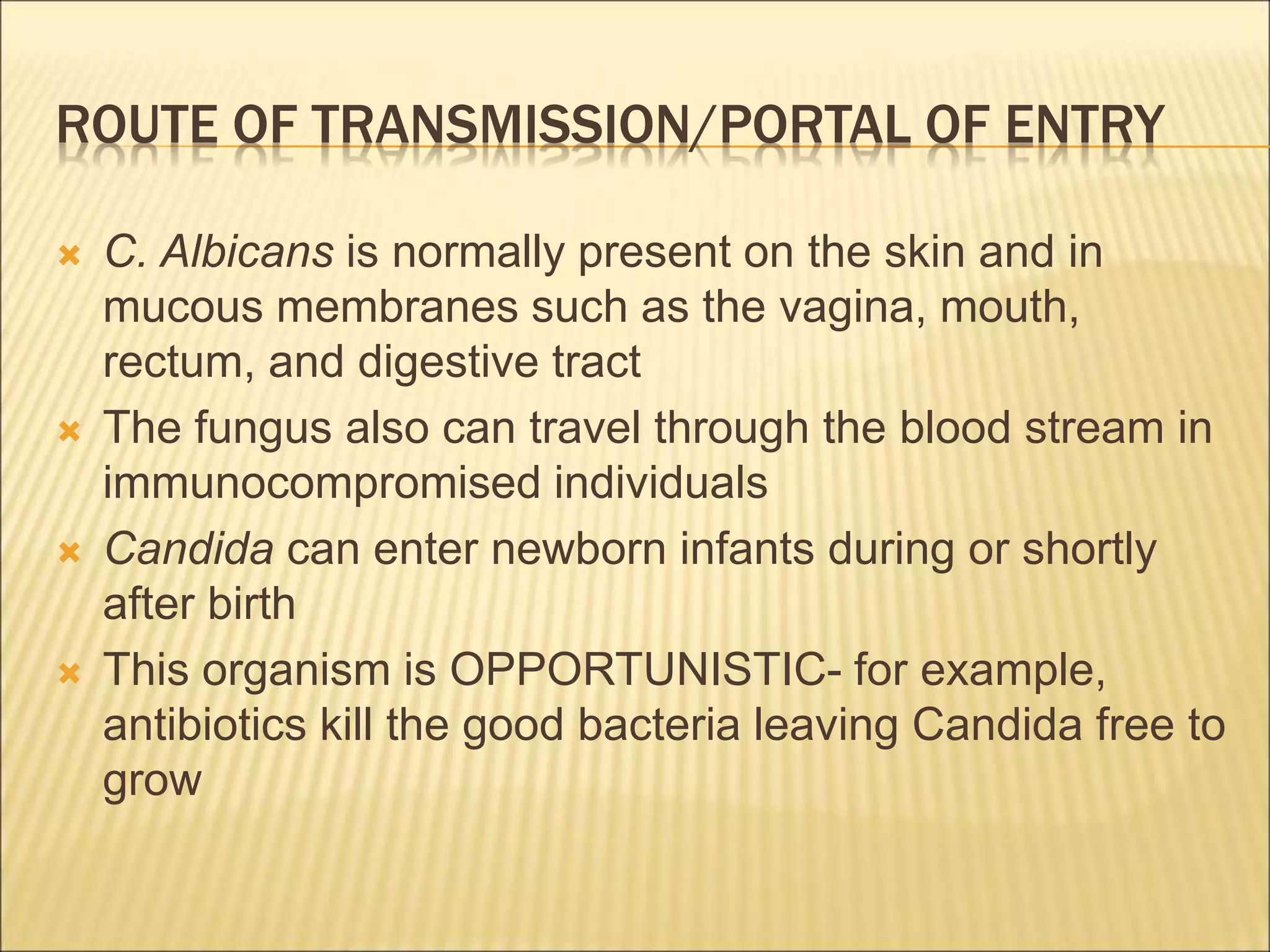 Candida Albicans.ppt