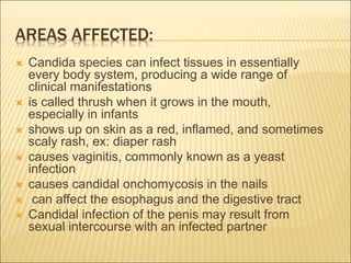 Candida Albicans.ppt