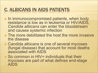 Candida Albicans.ppt